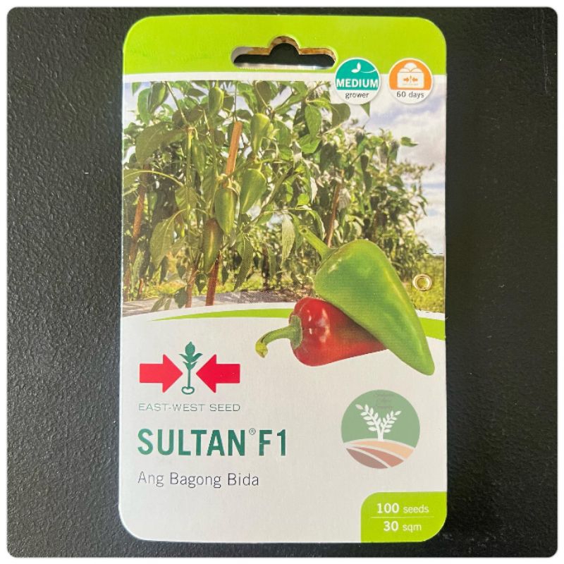 SULTAN F1 ATSAL SEEDS EAST WEST HYBRID BELL PEPPER VEGETABLE SEEDS GO ...