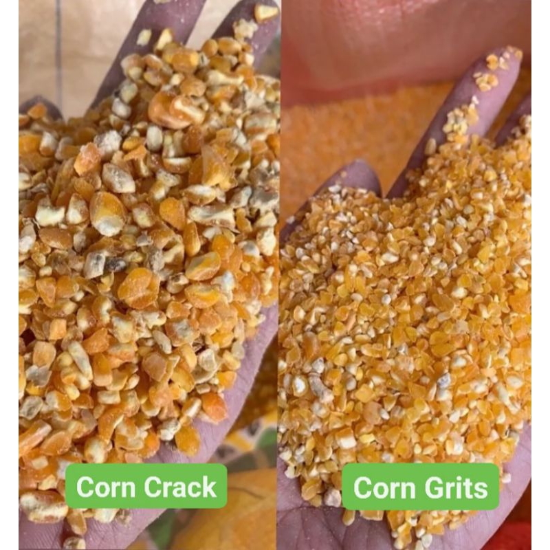 Corn Crack / Corn Grits for chicken (1KILO) | Shopee Philippines