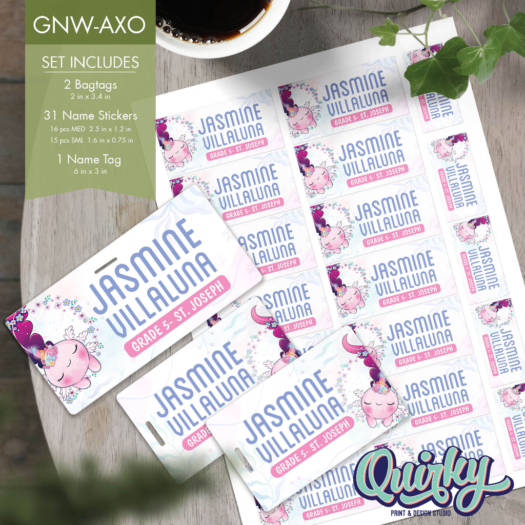 Personalized Back To School Set - Girl Designs - Name Tag, Bag Tag and ...