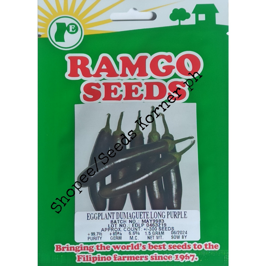 Ramgo Seeds Eggplant Dumaguete Long Purple Original and High Quality ...