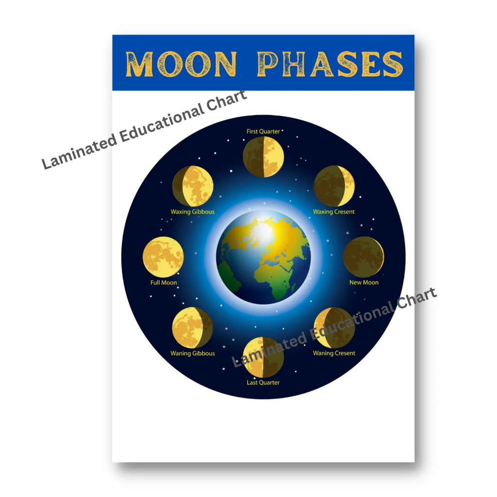 Laminated Phases of the Moon Charts, Moon Phases, Educational Chart for ... Laminated Phases of the Moon Charts, Moon Phases, Educational Chart for ...