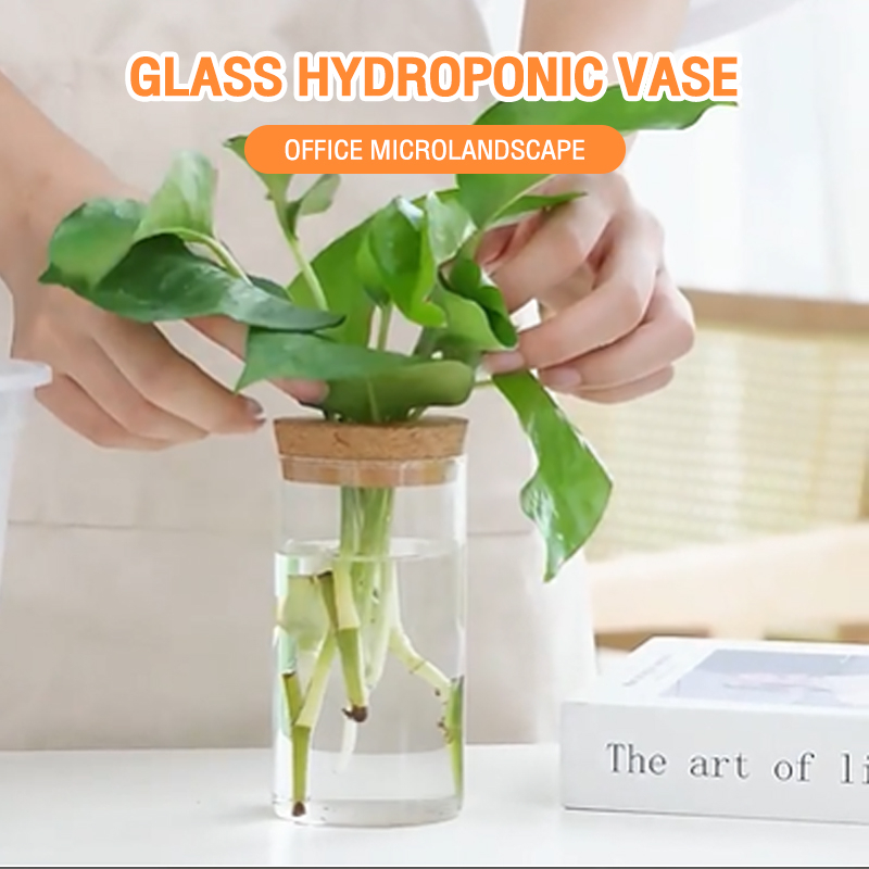 High borosilicate glass hydroponic plant glass bottle micro landscape ...
