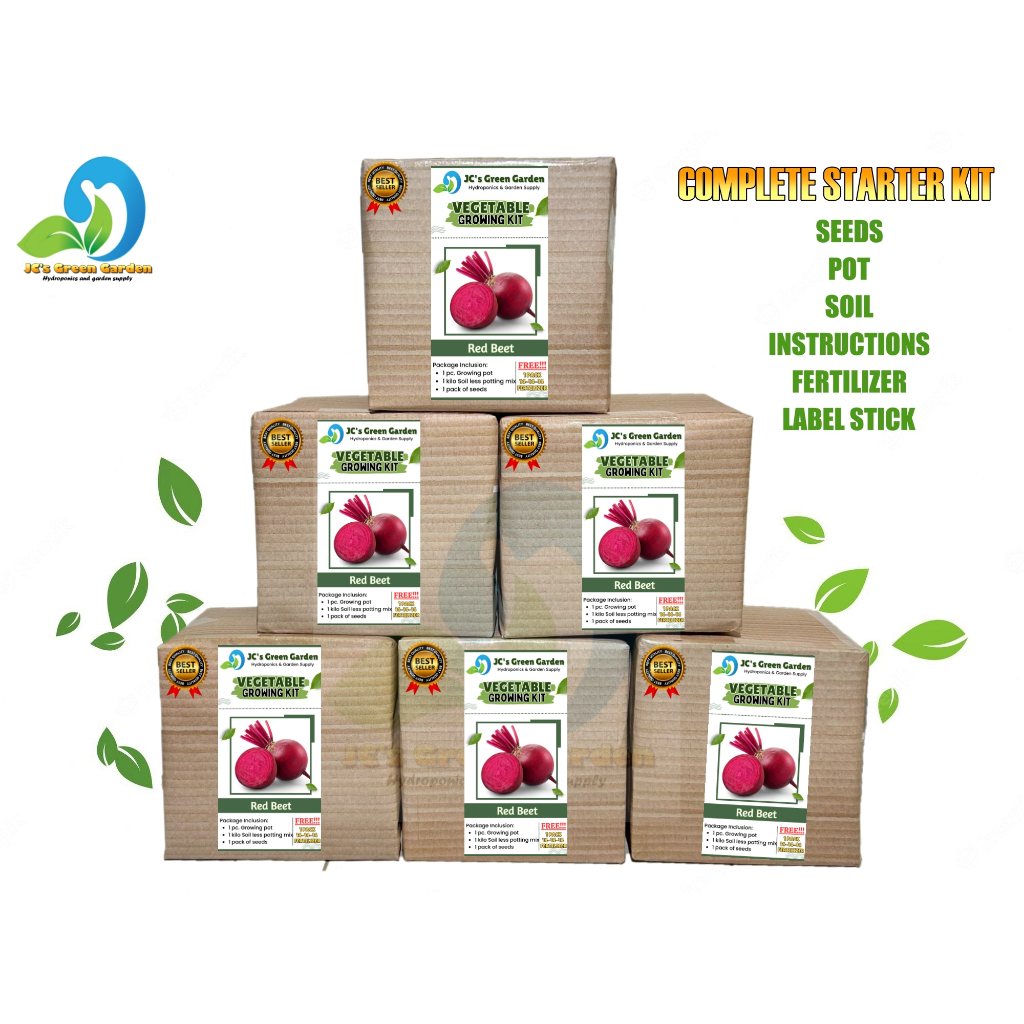 RED BEET GROWING KIT - READY TO USE/COMPLETE PACKAGE/POT/SOIL/SEEDS ...