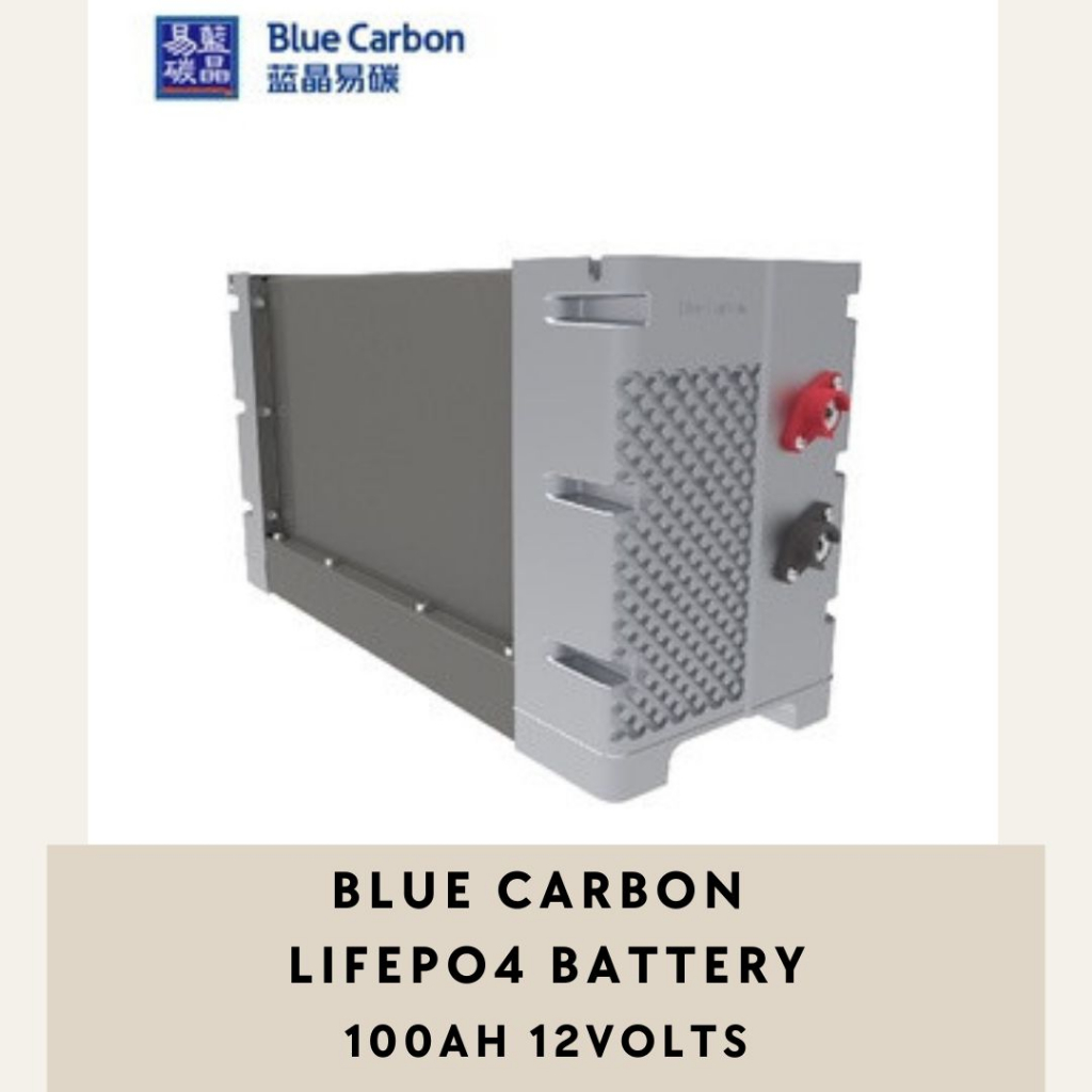 BLUE CARBON LIFEPO4 BATTERY 100Ah 12V | Shopee Philippines
