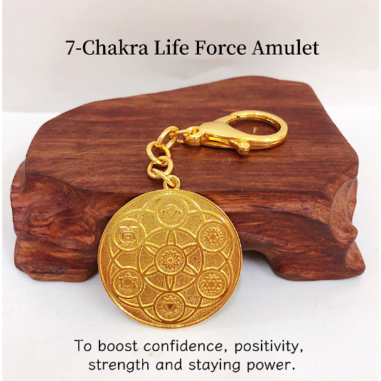 Fengshui Life Force Amulet | Shopee Philippines