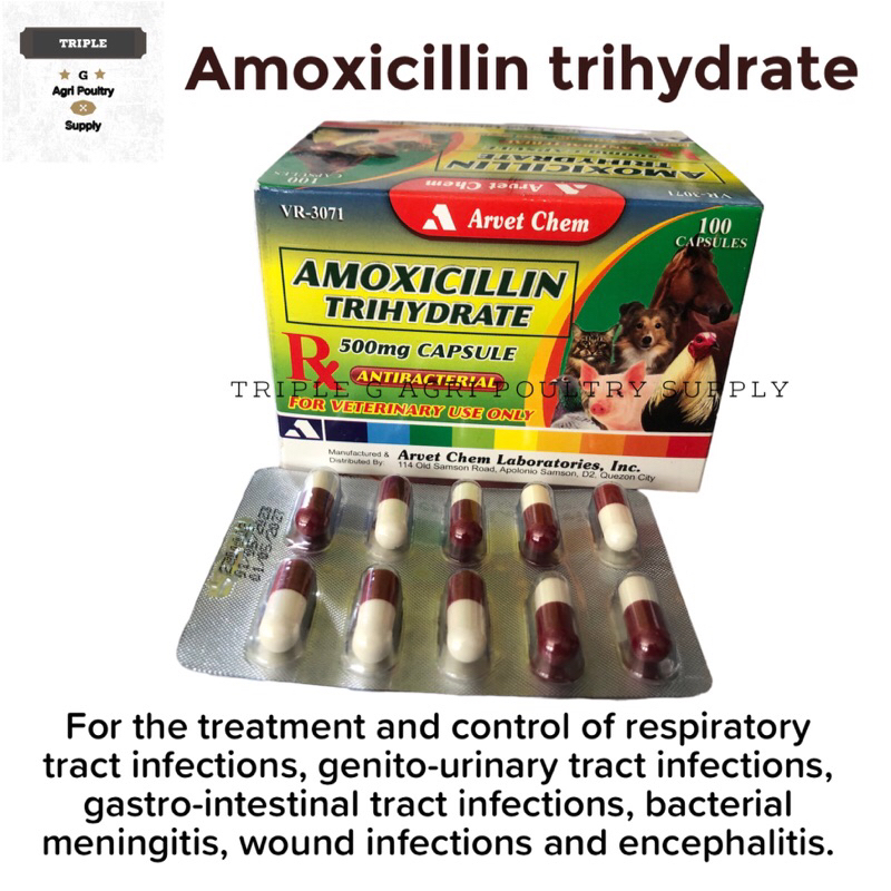 Amoxicillin Trihydrate 500mg 1box (100 capsules) | Shopee Philippines