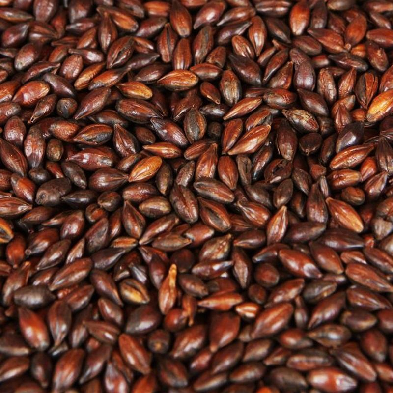 Weyermann Brewing Malt - Carafa Special Type 2 - 1kg | Shopee Philippines