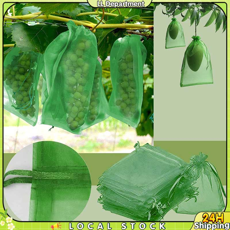10Pcs Fruit Net Bag Nylon Fruit Net Insect Proof Net Garden Plant Melon ...