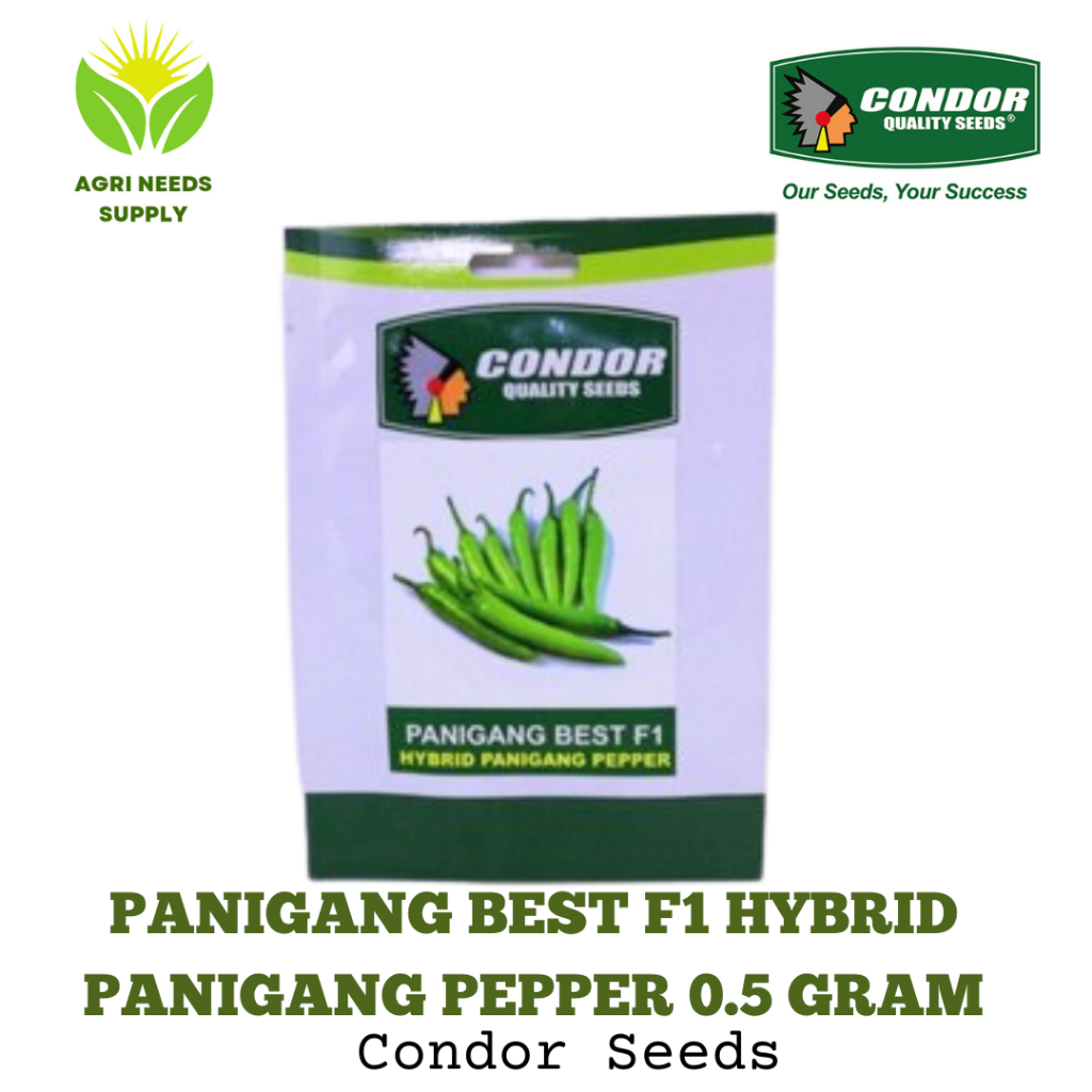 Hybrid Pepper Panigang Best F1 Sili Panigang Condor Sachet 0.5gms ...