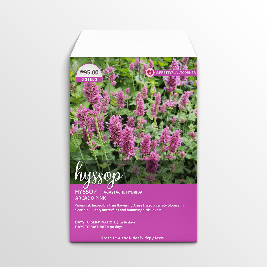 Arcado Pink Agastache Hyssop Herb Seeds | Shopee Philippines