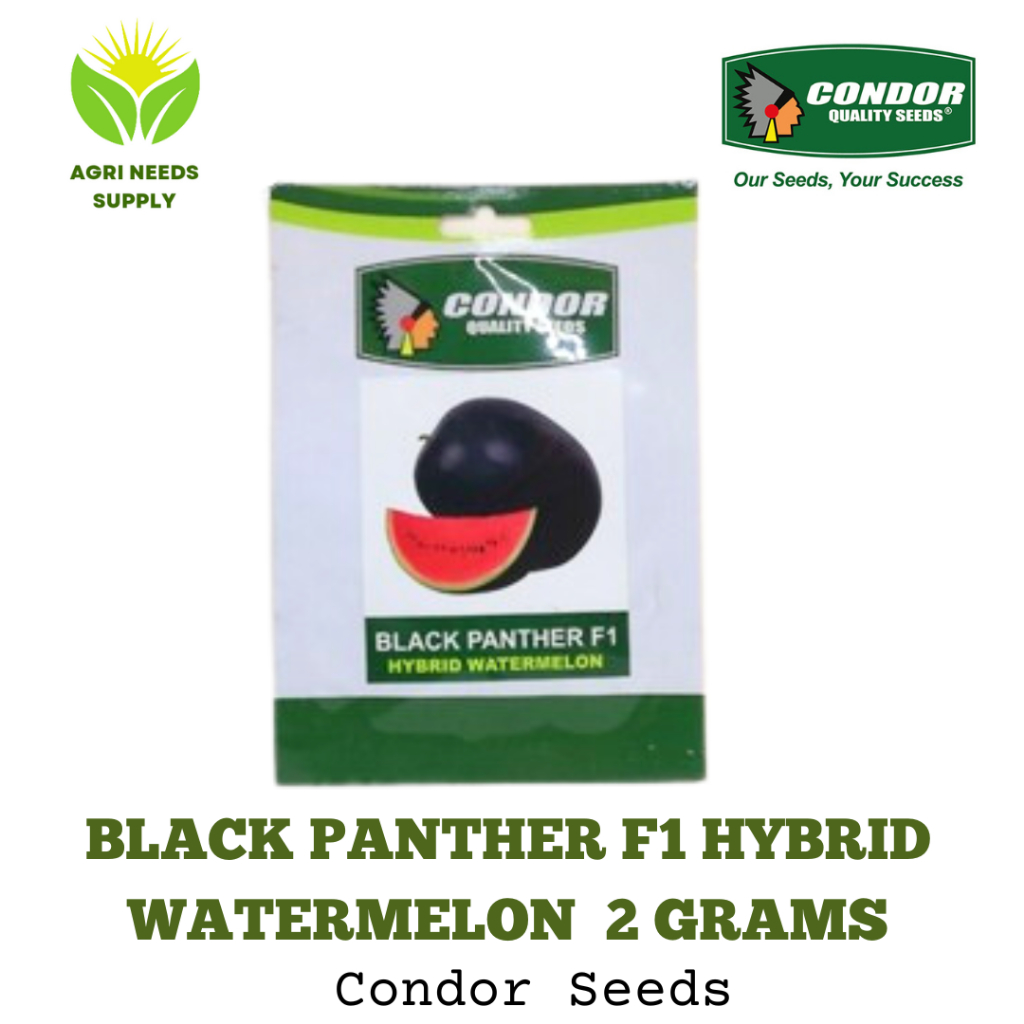 Black Panther F1 Hybrid Watermelon Condor ( 2gms ) | Shopee Philippines