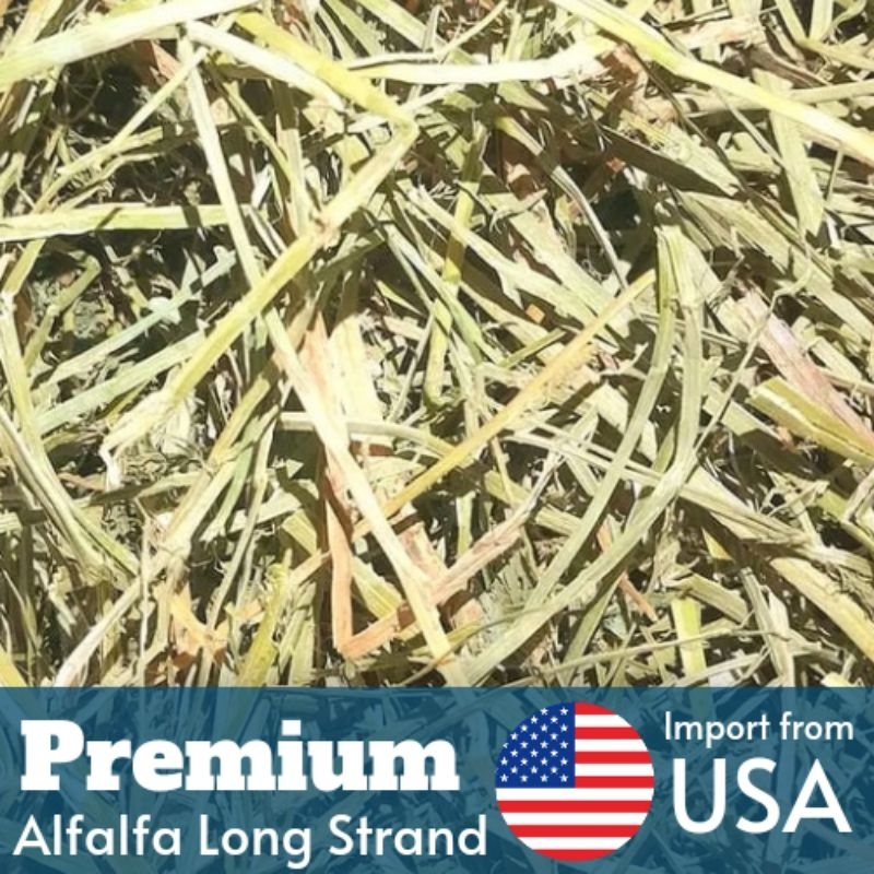 Anderson Alfalfa Hay Long Strand 1kg & 500g | Shopee Philippines