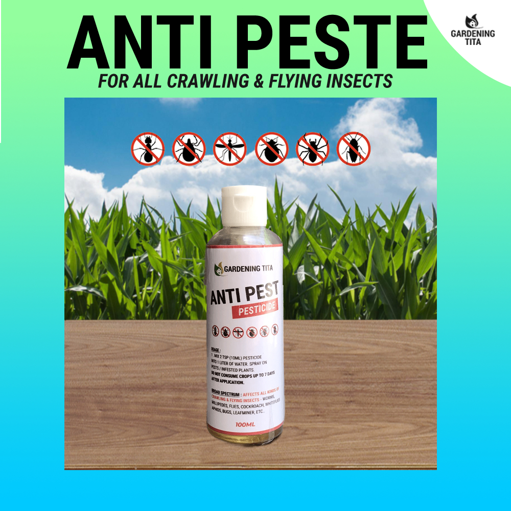100% Anti Pest For Home & Garden Pest Control Pesticides and ...