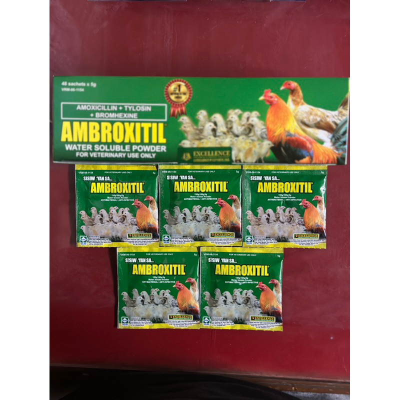 AMBROXTIL POWDER 5g (1sachet) | Shopee Philippines