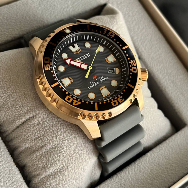 Citizen Promaster DiveCitizen Promaster Diver Watch BN0163-00H Eco ...