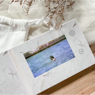 Ben and Bart, Online Shop | Shopee Philippines