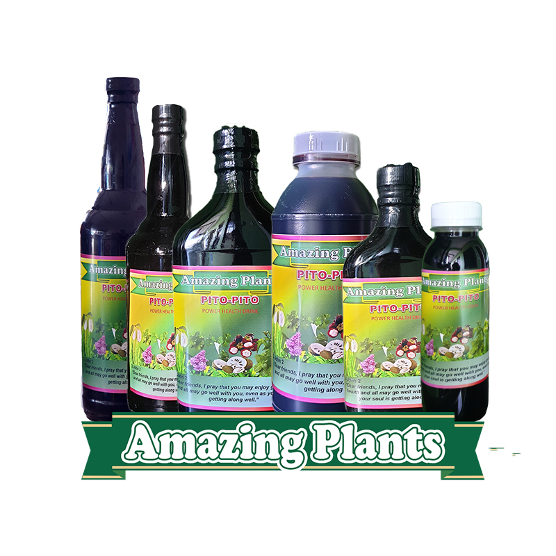 The Original Amazing Plants Pito pito Power Health Drink (Pito-pito ...