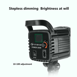 300W Professional Studio Flash Light Strobe Studio lighting for ...