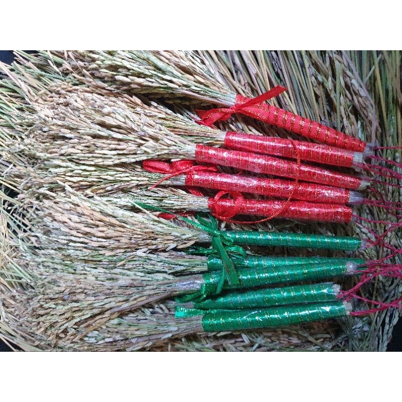 Palay Lucky Charm 2023 | Shopee Philippines