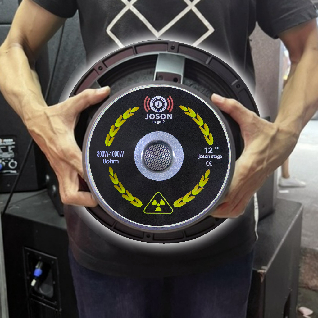 Joson STAGE 12 Professional Sub Bass Speaker (1pc) | Shopee Philippines