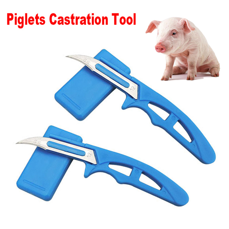 1 Pair Pig Castration Scalpel Piglets Castration Tool for Farm Animal Supplies Pig Accessories ...