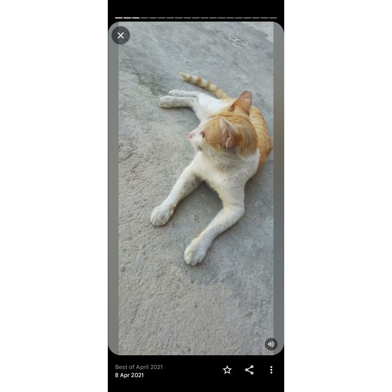 checkout for 45 pesos keychain | Shopee Philippines