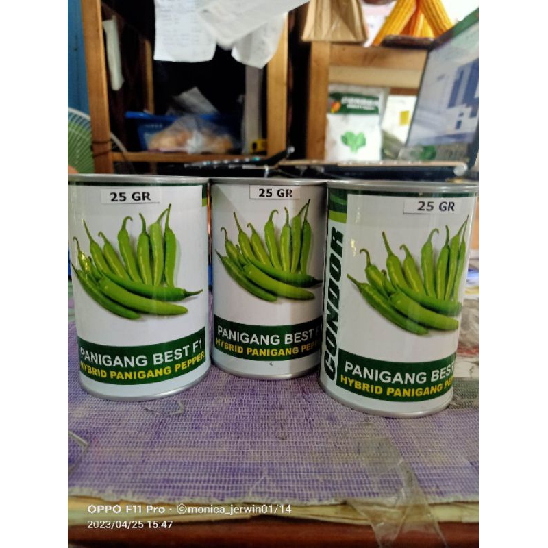 SILING PANIGANG SEEDS PANIGANG BEST F1 25G HYBRID PEPPER CONDOR SEEDS ...