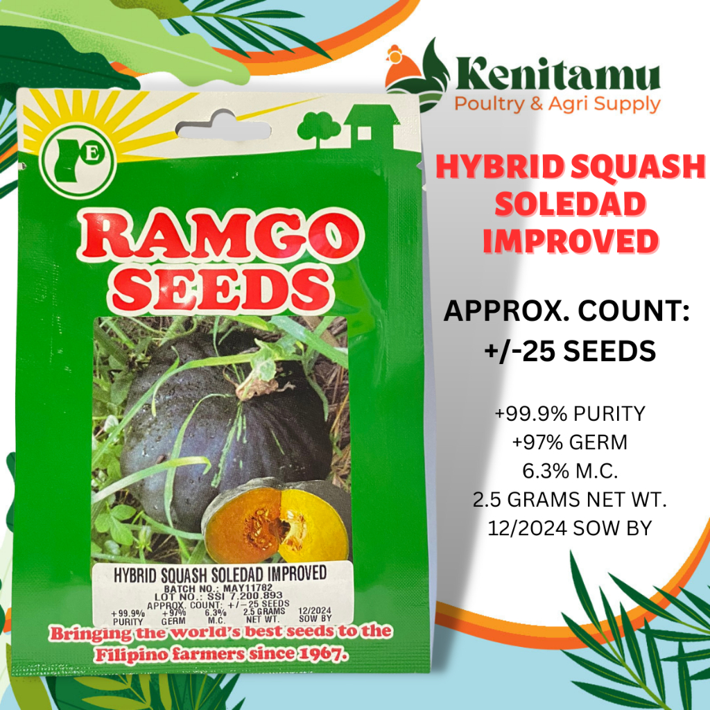 RAMGO SEEDS (PACKET) | Shopee Philippines