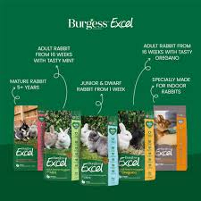 Burgess Excel Pellet for Rabbit, Guinea Pig | Shopee Philippines