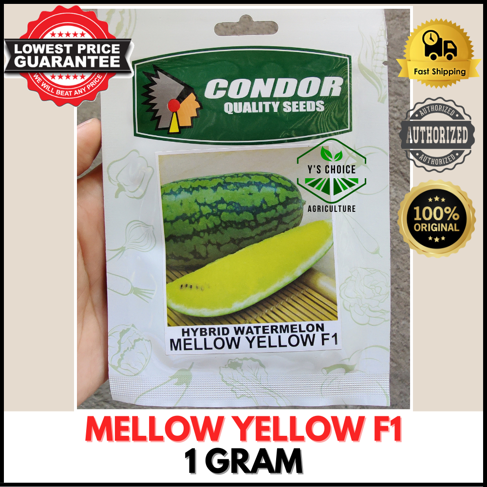 CONDOR SEEDS - WATERMELON SEEDS - MELLOW YELLOW 1 Gram | Shopee Philippines