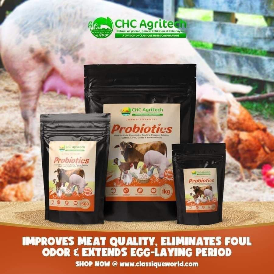 CHC Probiotics 1KILO CHC AGRITECH Improves Meat Quality, Eliminates ...