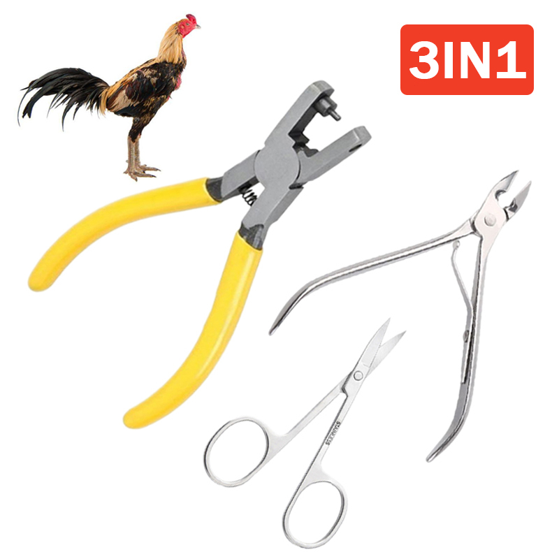 Gamefowl Kit Chicks toe puncher+Chicken Rooster nose marker+Feather ...