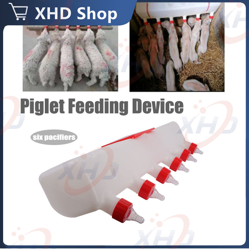 Piglet feeding device Silicone Nipple Feeder for Piglet Lamb nursing ...