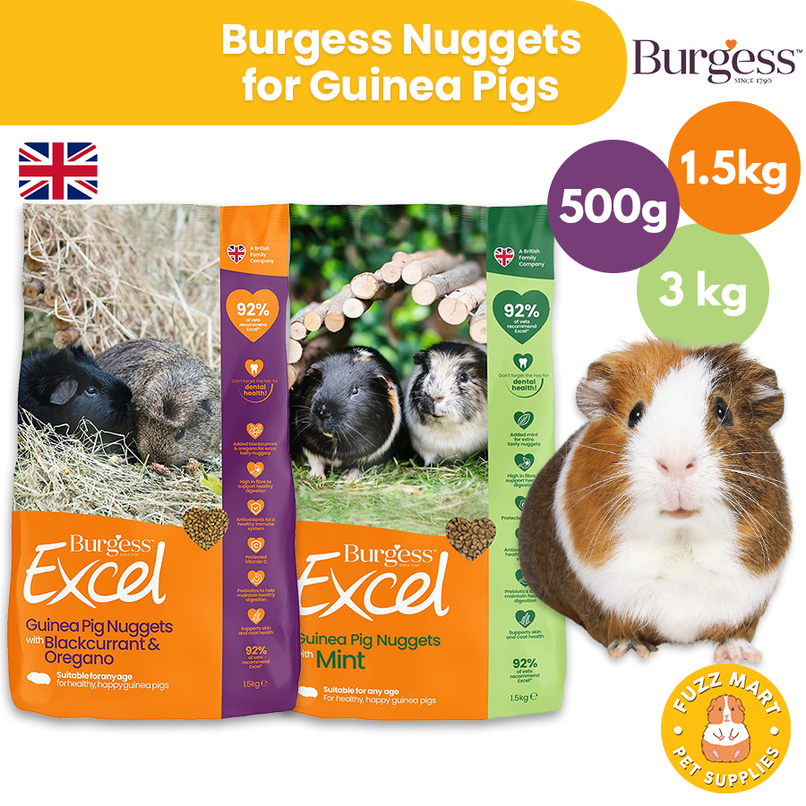 (500g/1.5kg/3kg) Burgess Excel Adult Guinea Pig Nuggets with Mint ...