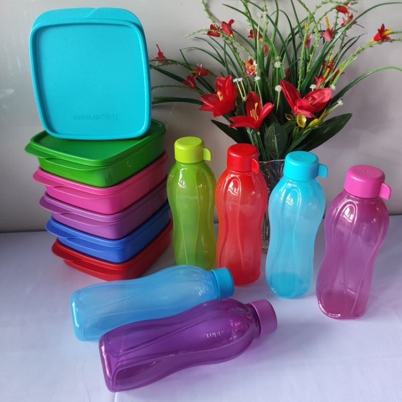 Tupperware Brands 1 Lunchbox + 1 Ecobottle Set | Shopee Philippines