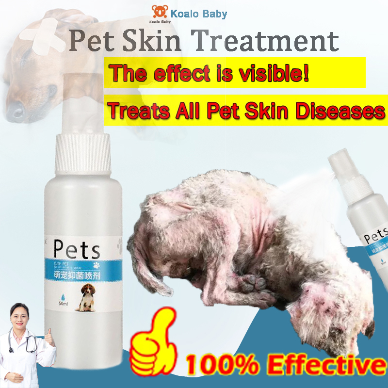 Pet Skin Treatment for dogs 50ml Pet Anti fungal Spray Dog Skin Disease ...