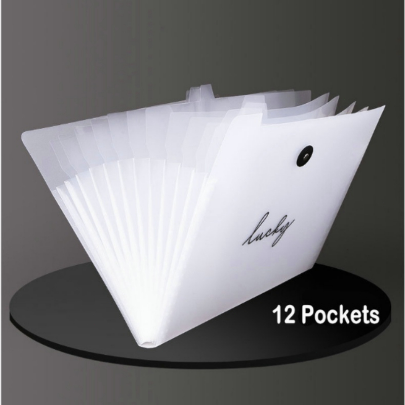 A4 Expending File Folder Transparent File Organizer with Button ...