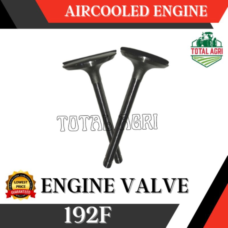 Engine Valve Intake Exhaust 192F Aircooled Diesel Engine | Shopee ...