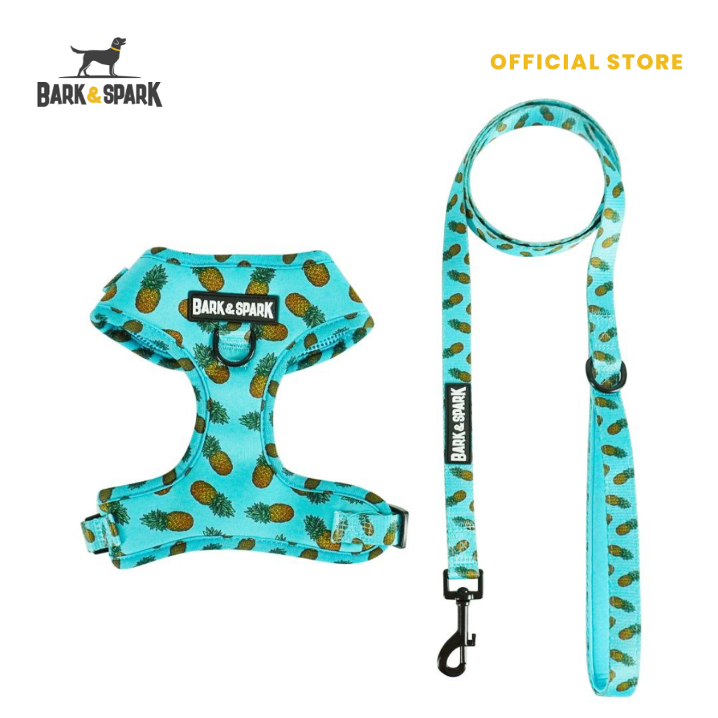 Bark and Spark Dog Harness and Leash Set - Soft and Durable Neoprene ...