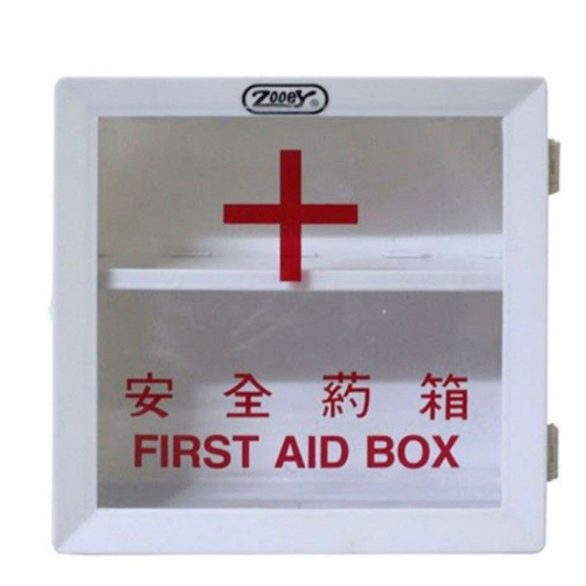 Zooey First Aid Box Medicine Cabinet Organizer Wall Mount Type | Shopee ...