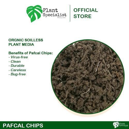 PAFCAL CHIPS ( Organic Soil ) | Shopee Philippines