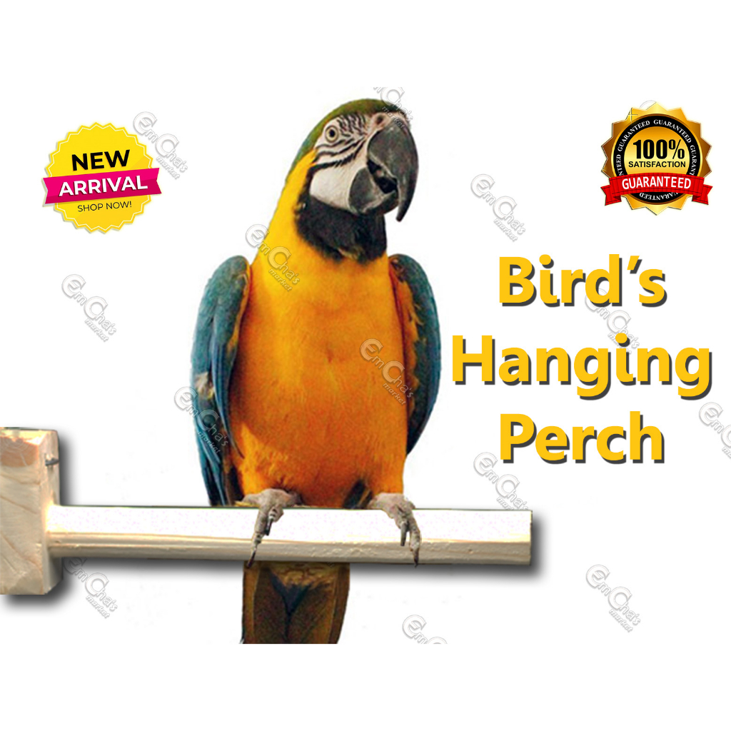 JTC Bird'S Large Hanging Perch (Brd) | Shopee Philippines