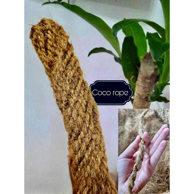 Coco Rope/Coco Fiber Rope/Cocorope | Shopee Philippines