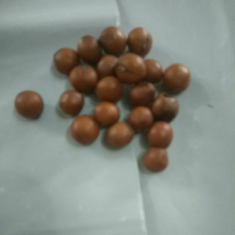 Tambagisa seeds or buto ng tambagisa | Shopee Philippines