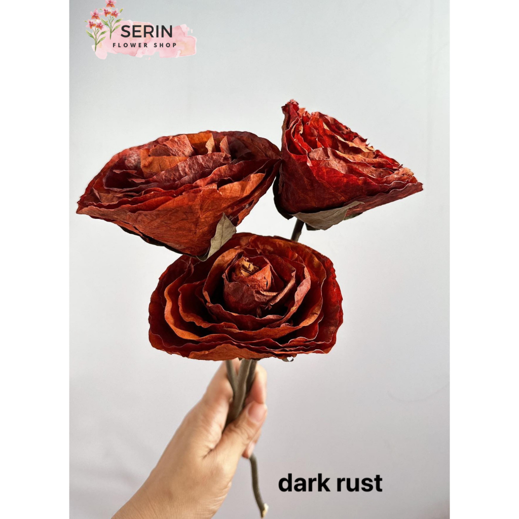 Dried FOSSILIZED ROSE per pc Flowers Roses DRIED FLOWER BAZAAR | Shopee ...