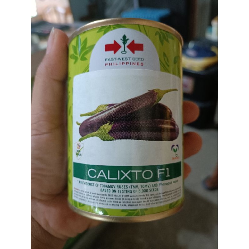 CALIXTO F1 50G hybrid eggplant | Shopee Philippines