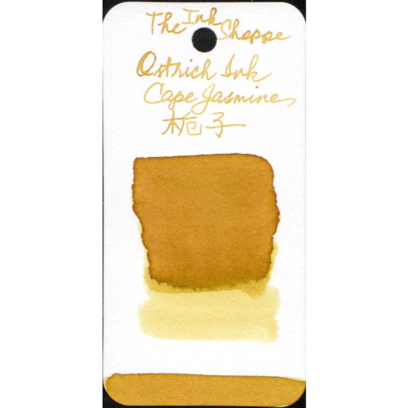 Ostrich Inks Solar Term Chromatography Fountain Pen Ink Sample (3mL ...