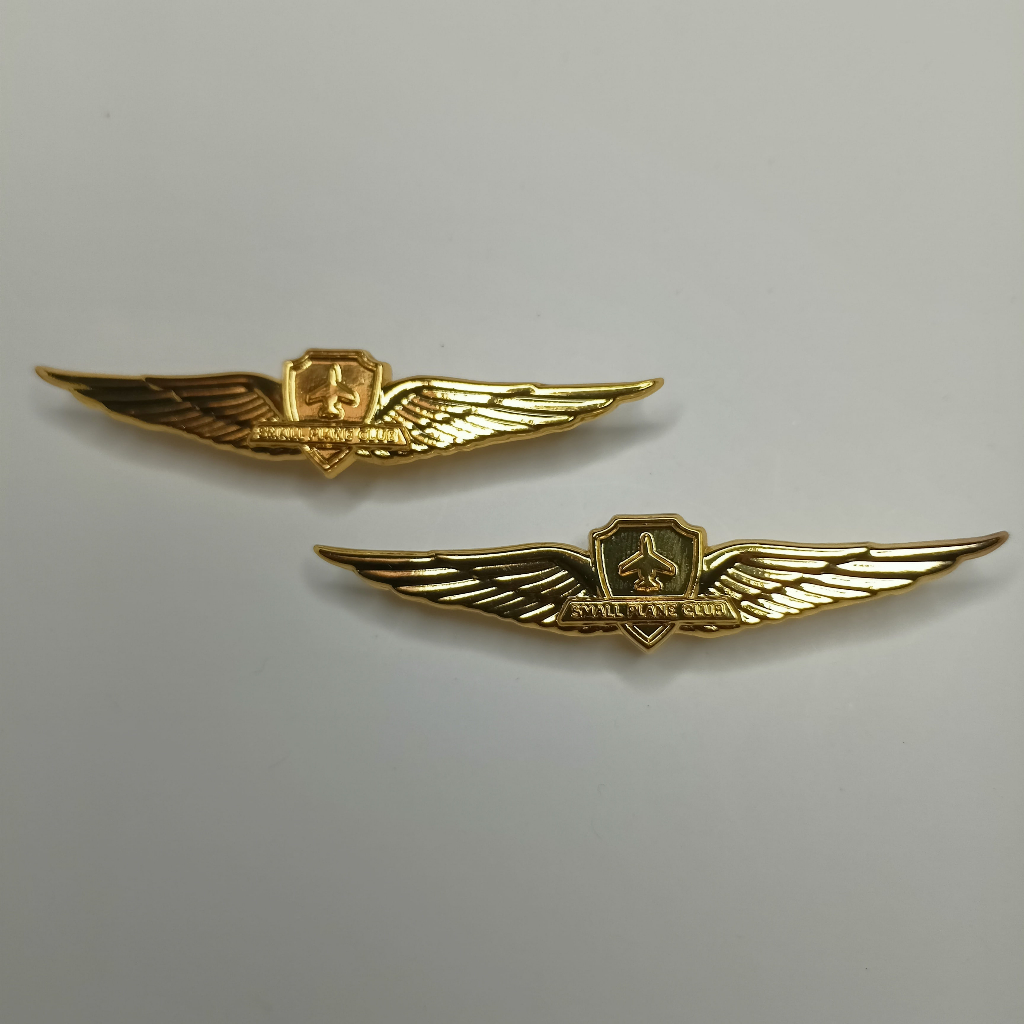 ALL IN SHOP GENERAL AVIATION AIRCRAFT WING PIN FOR AVIATORS | Shopee ...
