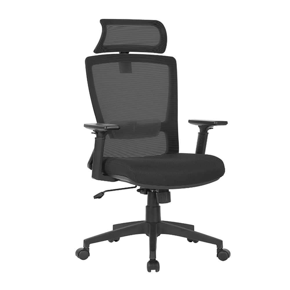 Ergodynamic Strut V1 Office Furniture High Back Executive Mesh Chair ...