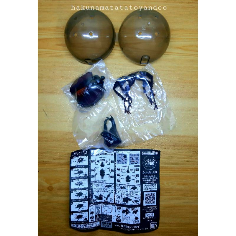 Insect capsule toy Ikimono Encyclopedia Kuwagata 03 Bandai (random ...